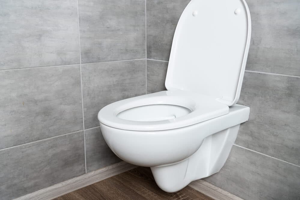 How to Choose the Right Toilet for Your Bathroom | Big Easy Bathrooms